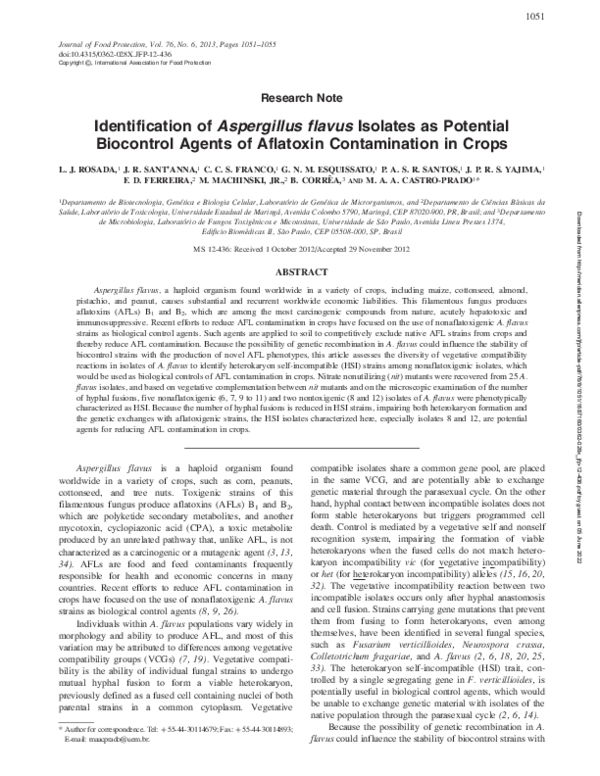 (PDF) Identification of Aspergillus flavus Isolates as Potential ...