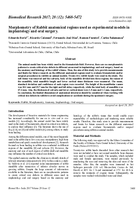 (PDF) Morphometry of Rabbit anatomical regions used as experimental ...