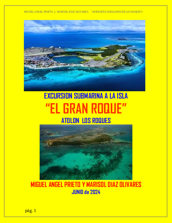 (PDF) Excursion submarina a la ISLA EL ROQUE VVV