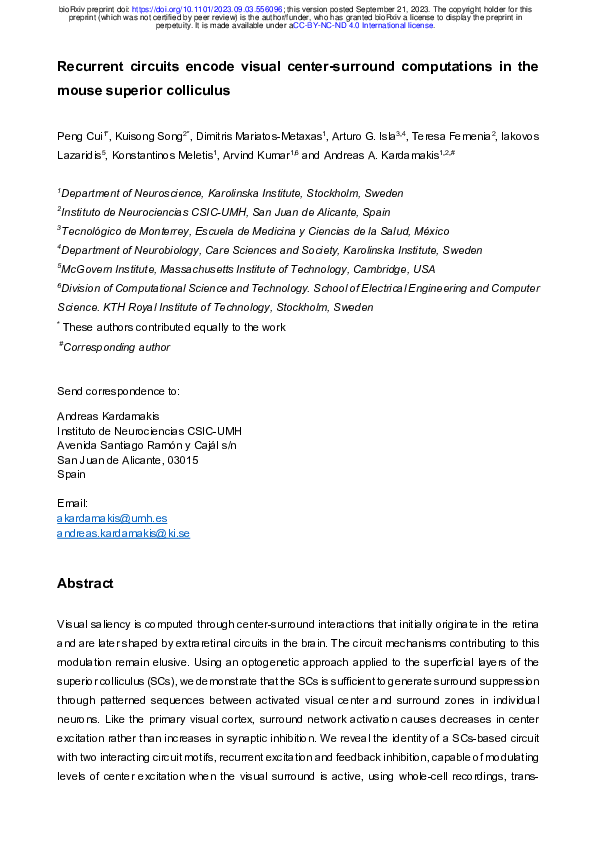 (PDF) Recurrent circuits encode visual center-surround computations in the mouse superior colliculus