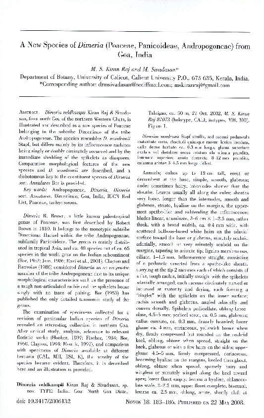 (PDF) A New Species of Dimeria (Poaceae, Panicoideae, Andropogoneae ...