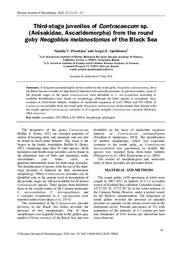 (PDF) Third-stage juveniles of Contracaecum sp. (Anisakidae ...