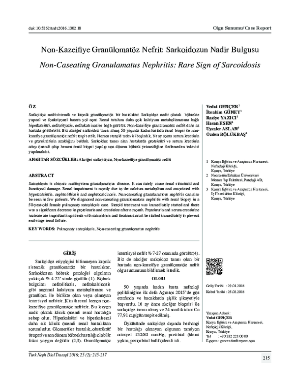 (PDF) Non-Caseating Granulamatus Nephritis: Rare Sign of Sarcoidosis