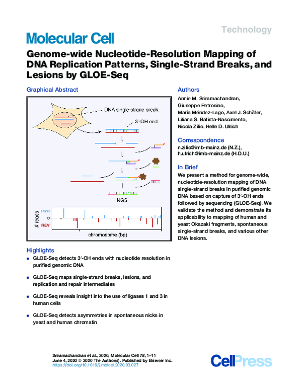 (PDF) Genome-wide Nucleotide-Resolution Mapping of DNA Replication ...