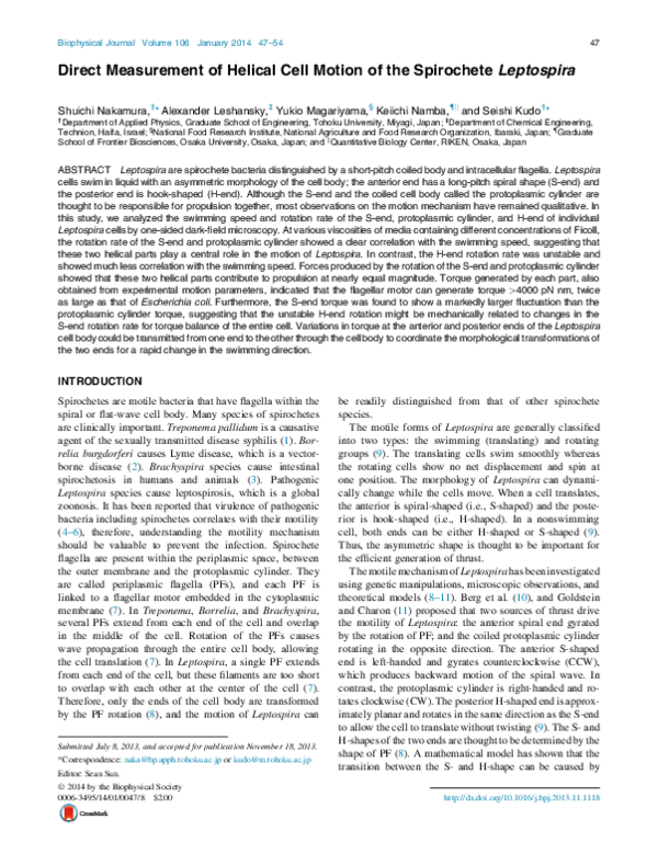 (PDF) Direct Measurement of Helical Cell Motion of the Spirochete ...