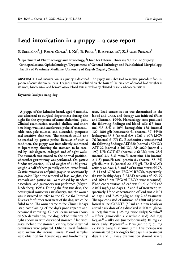 (PDF) Lead intoxication in a puppy - a case report
