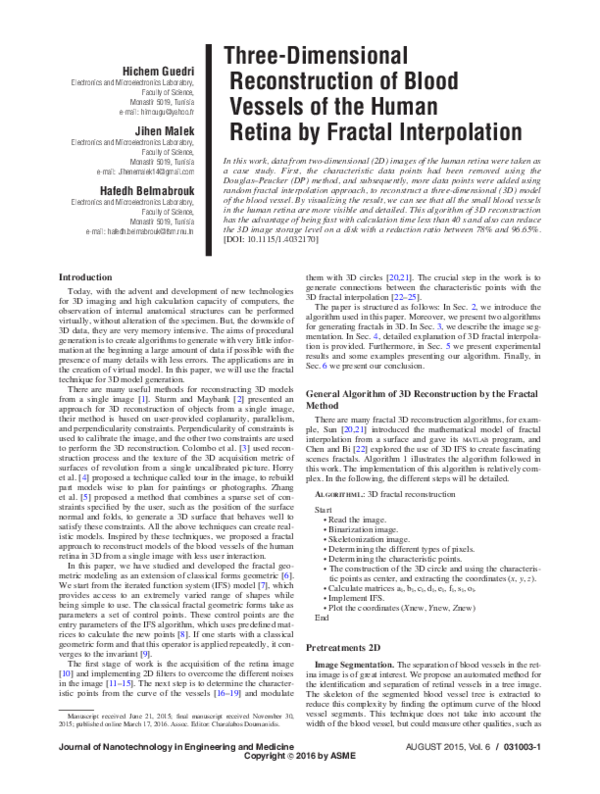 (PDF) Three-Dimensional Reconstruction of Blood Vessels of the Human Retina by Fractal Interpolation