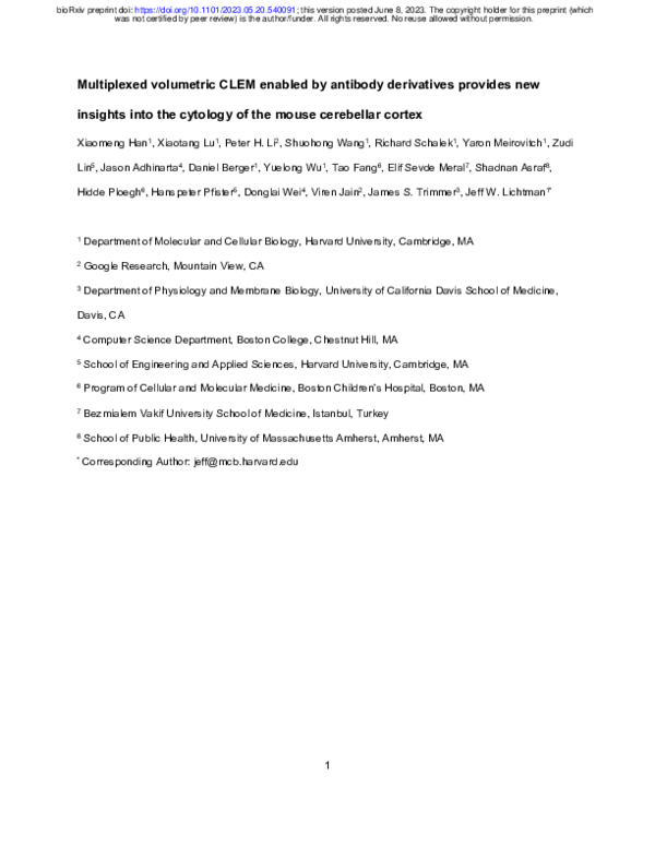 (PDF) Multiplexed volumetric CLEM enabled by antibody derivatives ...