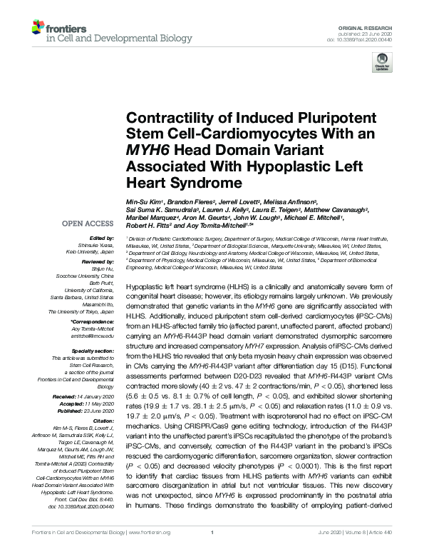 (PDF) Contractility of Induced Pluripotent Stem Cell-Cardiomyocytes ...