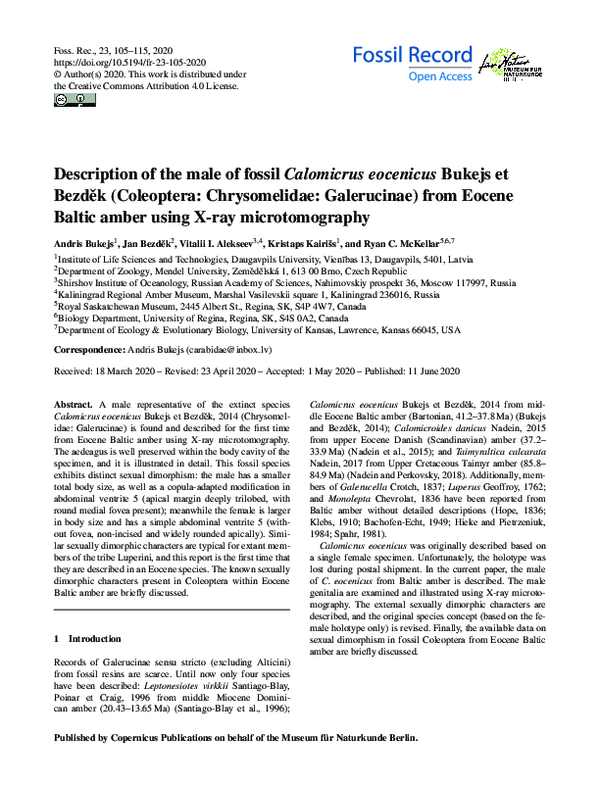 (PDF) Description of the male of fossil Calomicrus eocenicus Bukejs et ...