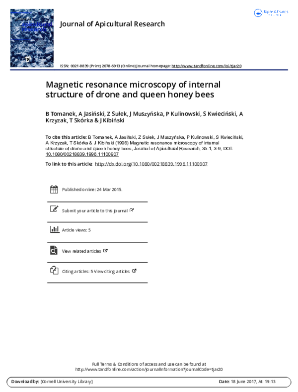 (PDF) Magnetic resonance microscopy of internal structure of drone and queen honey bees