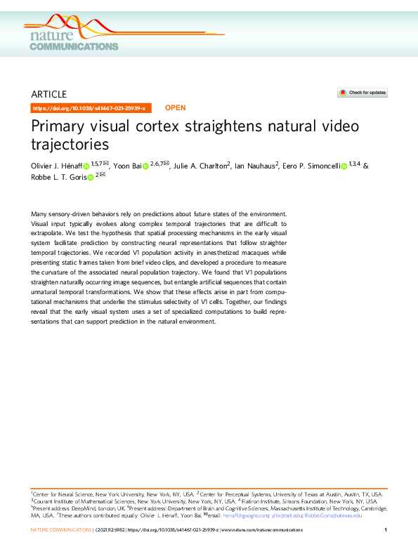 (PDF) Primary visual cortex straightens natural video trajectories