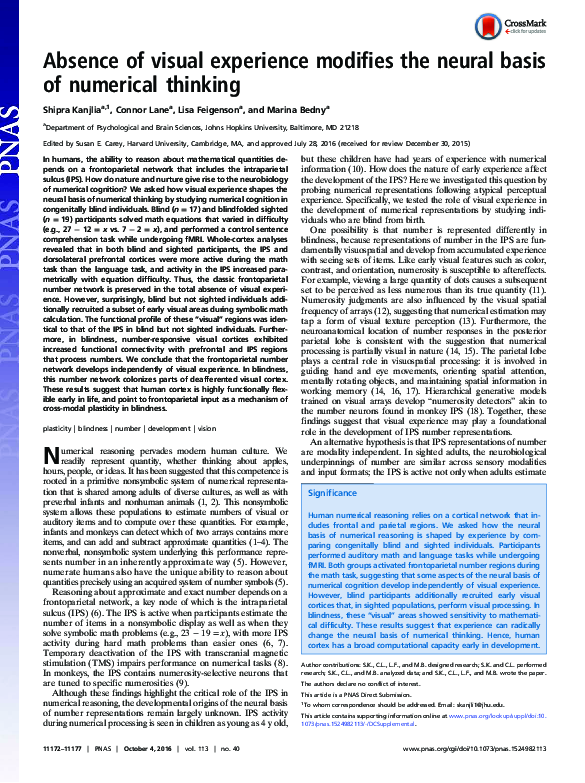 (PDF) Absence of visual experience modifies the neural basis of numerical thinking
