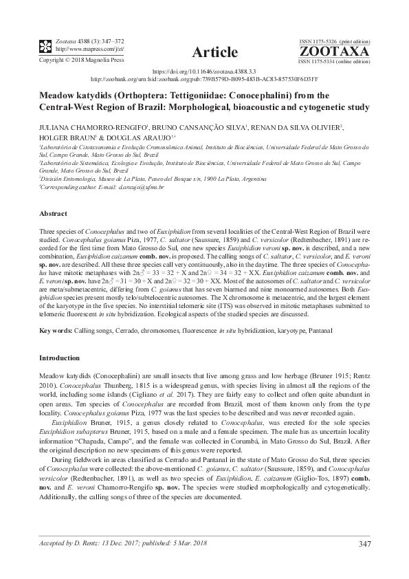 (PDF) Meadow katydids (Orthoptera: Tettigoniidae: Conocephalini) from ...