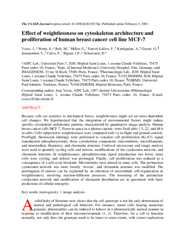 (PDF) The effect of weightlessness on cytoskeleton architecture and ...