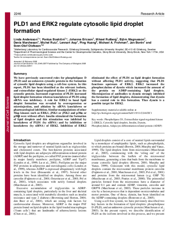 (PDF) PLD1 and ERK2 regulate cytosolic lipid droplet formation