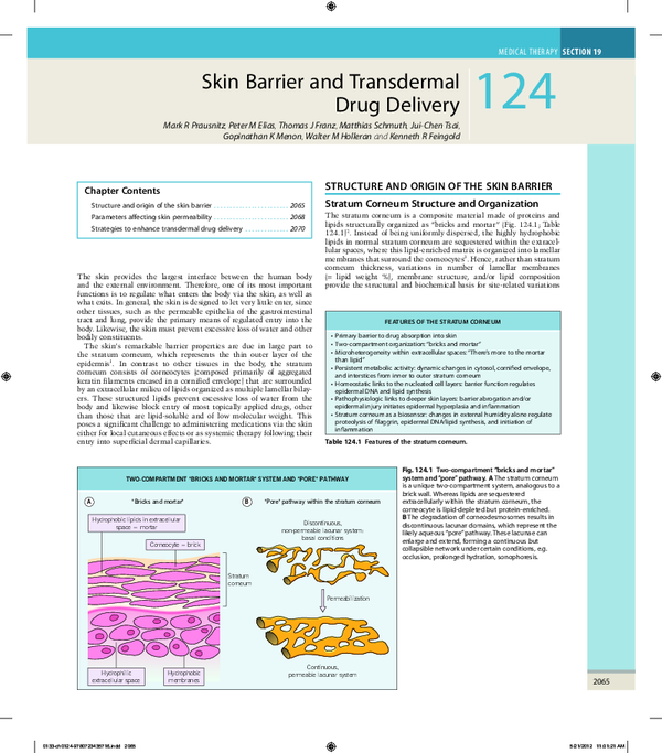 (PDF) Skin Barrier and Transdermal Drug Delivery