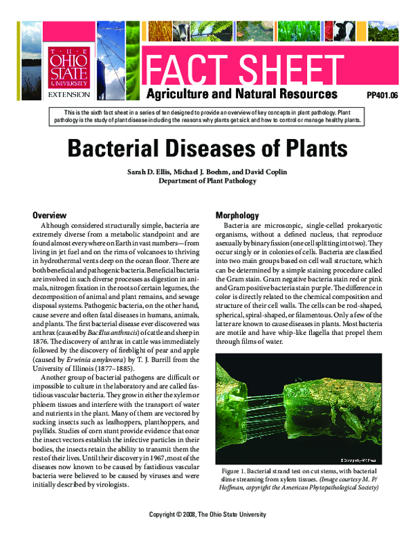 (PDF) This is the sixth fact sheet in a series of ten designed to ...