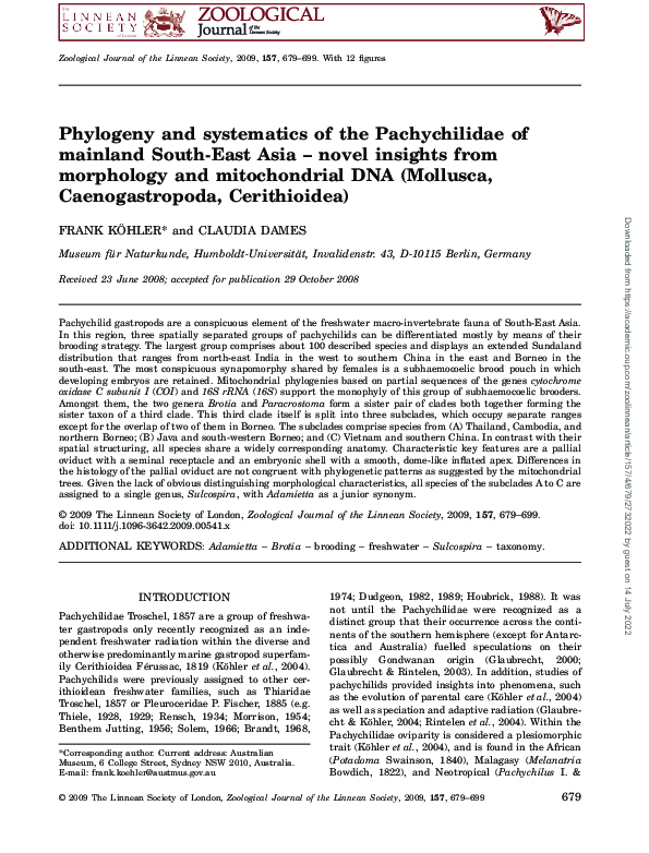 (PDF) Phylogeny and systematics of the Pachychilidae of mainland South ...