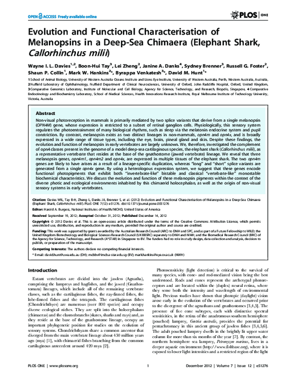 (PDF) Evolution and Functional Characterisation of Melanopsins in a ...