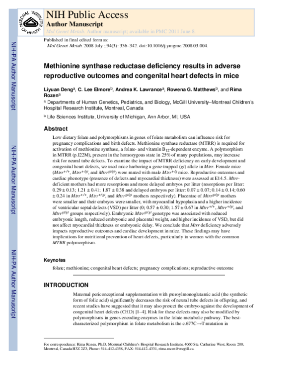 (PDF) Methionine synthase reductase deficiency results in adverse ...