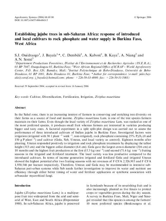 (PDF) Establishing jujube trees in sub-Saharan Africa: response of ...