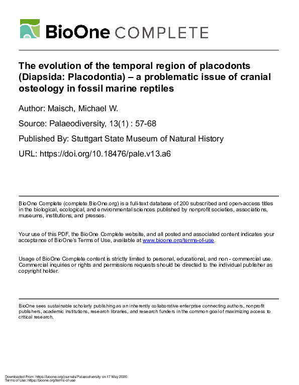 (PDF) The evolution of the temporal region of placodonts (Diapsida ...