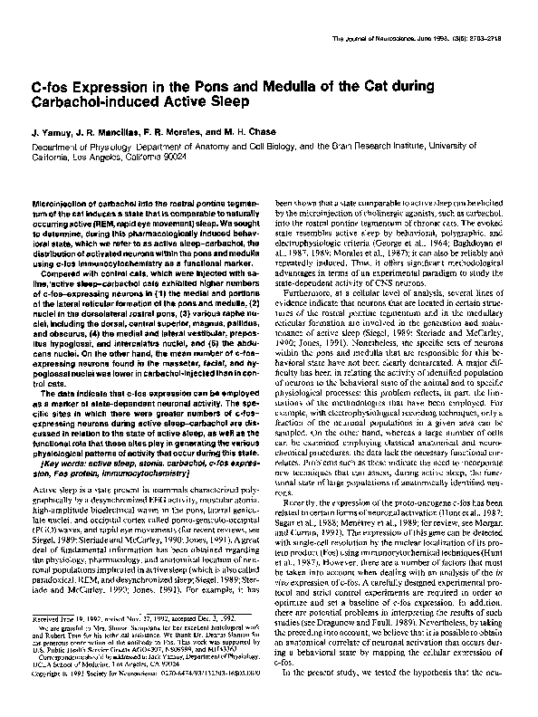 (PDF) C-fos expression in the pons and medulla of the cat during ...