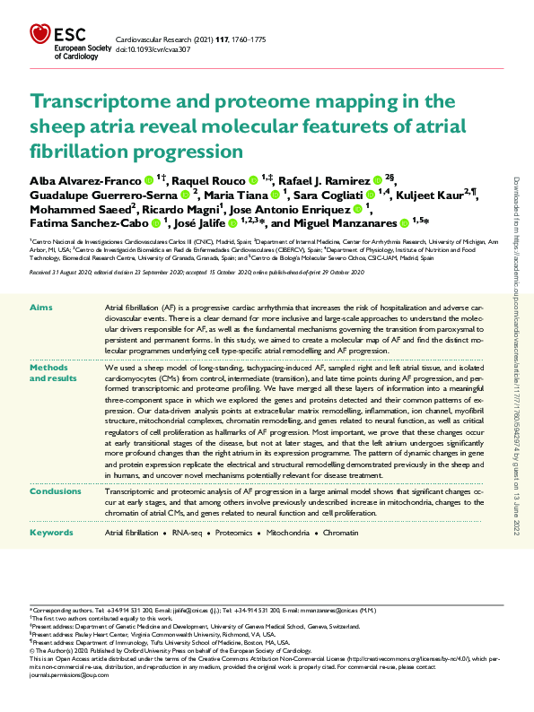 (PDF) Transcriptome and proteome mapping in the sheep atria reveal molecular featurets of atrial ...