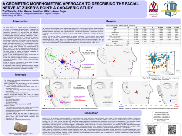 (PDF) A Geometric Morphometric Approach to Describing the Facial Nerve ...