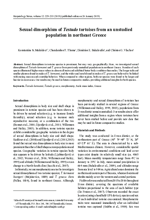 (PDF) Sexual dimorphism of Testudo tortoises from an unstudied ...