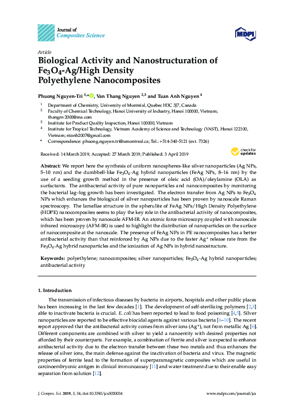(PDF) Biological Activity and Nanostructuration of Fe3O4-Ag/High ...