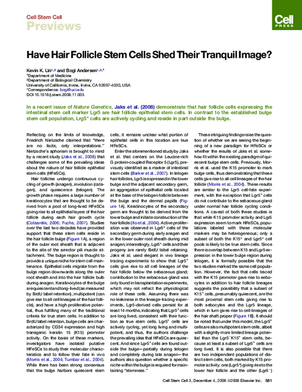 (PDF) Have Hair Follicle Stem Cells Shed Their Tranquil Image?