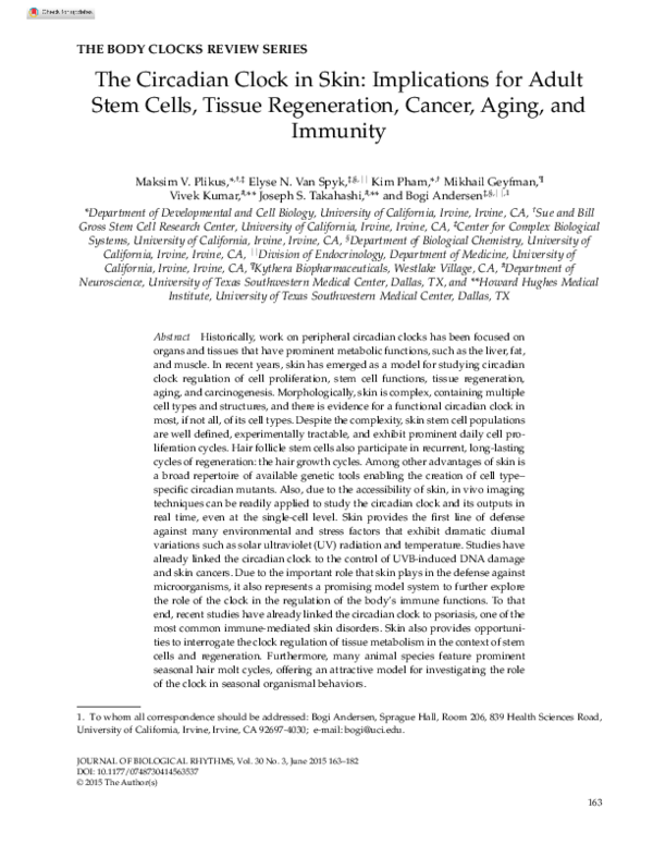 (PDF) The Circadian Clock in Skin: Implications for Adult Stem Cells ...