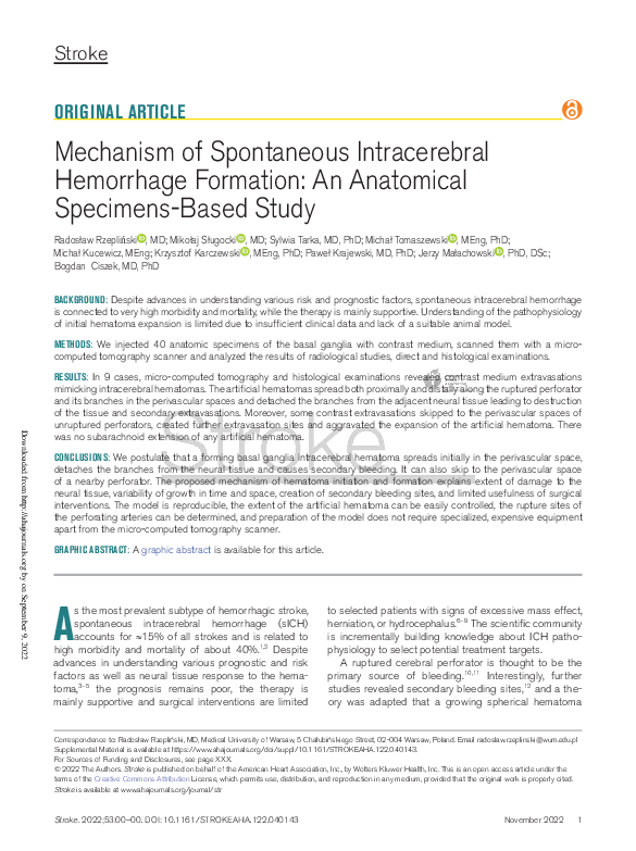 (PDF) Mechanism of Spontaneous Intracerebral Hemorrhage Formation: An ...