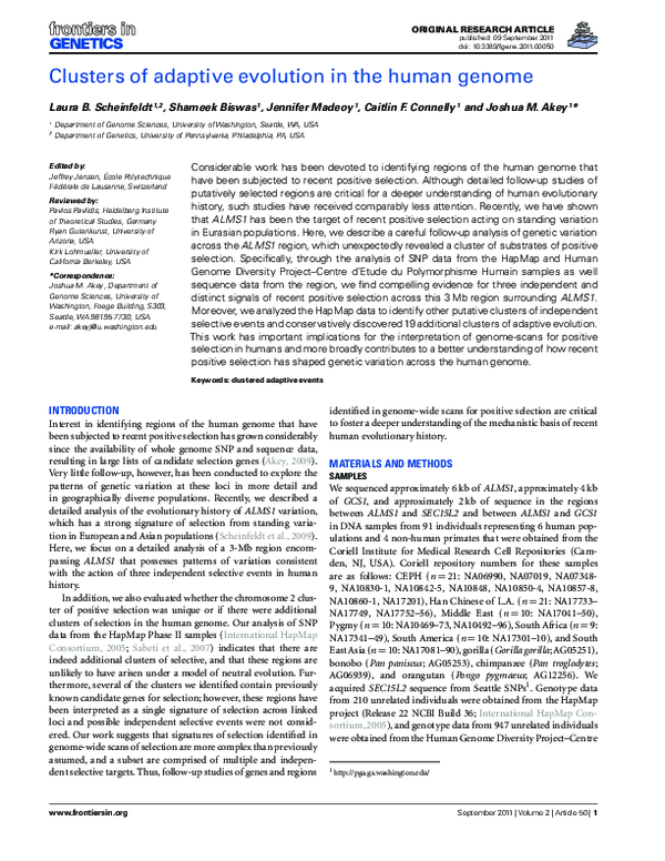 (PDF) Clusters of adaptive evolution in the human genome