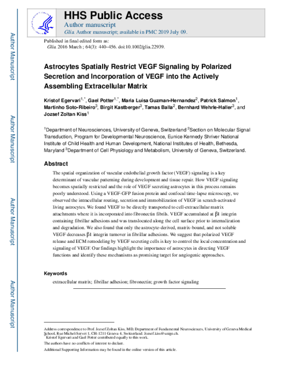 (PDF) Astrocytes spatially restrict VEGF signaling by polarized ...