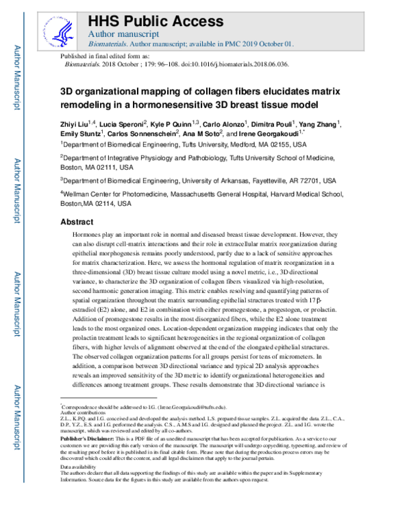 (PDF) 3D organizational mapping of collagen fibers elucidates matrix ...