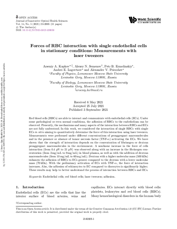 (PDF) Forces of RBC interaction with single endothelial cells in ...