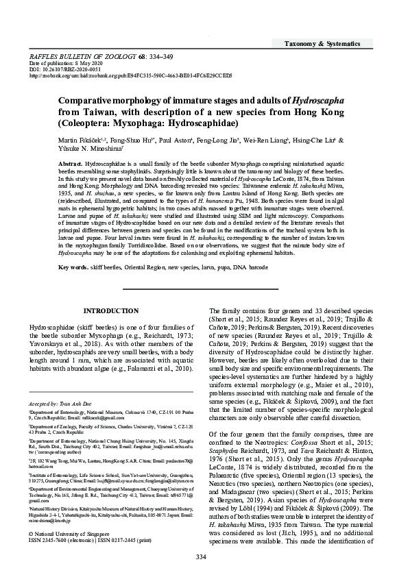 (PDF) Comparative morphology of immature stages and adults of ...