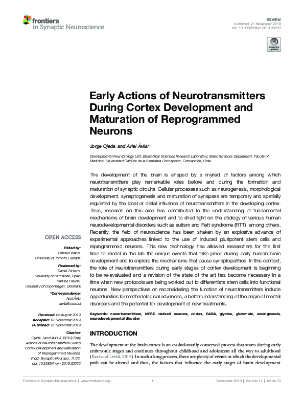 (PDF) Early Actions of Neurotransmitters During Cortex Development and ...