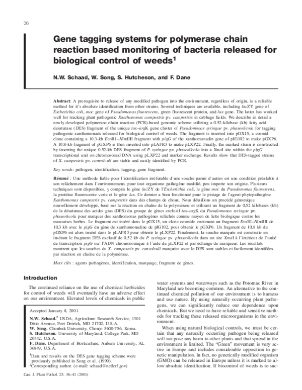 (PDF) Gene tagging systems for polymerase chain reaction based ...