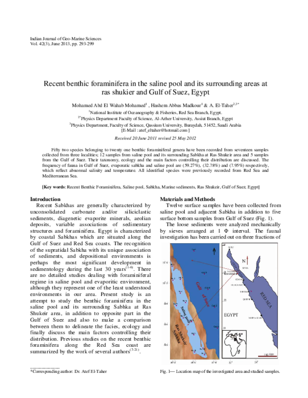 (PDF) Recent benthic foraminifera in the saline pool and its ...