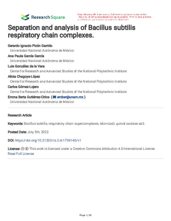 (PDF) Separation and analysis of Bacillus subtilis respiratory chain ...