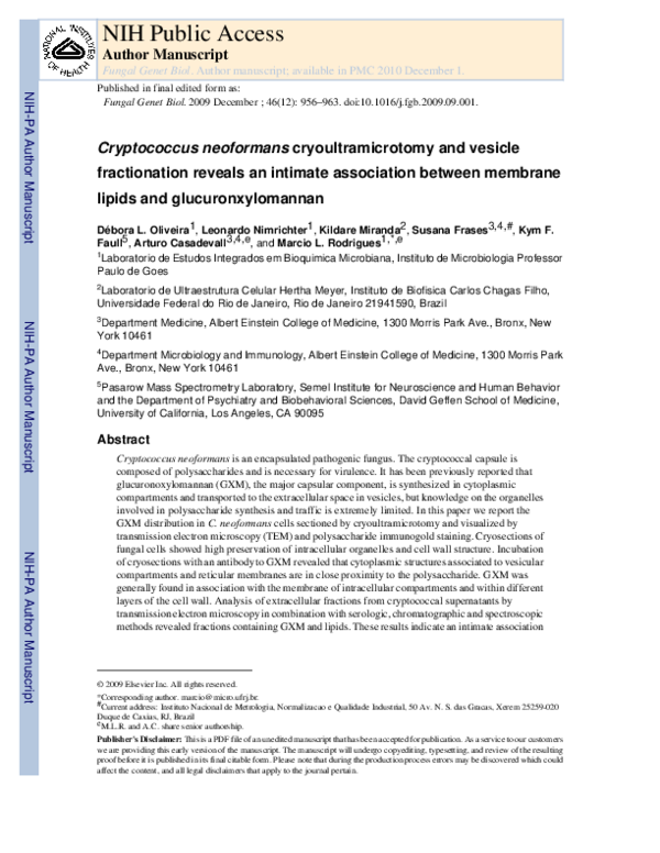 (PDF) Cryptococcus neoformans cryoultramicrotomy and vesicle ...