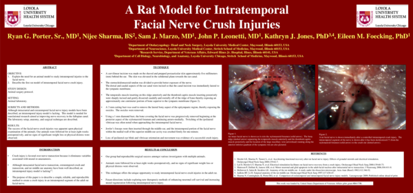 (PDF) SP331 – A rat model for intratemporal facial nerve crush injuries