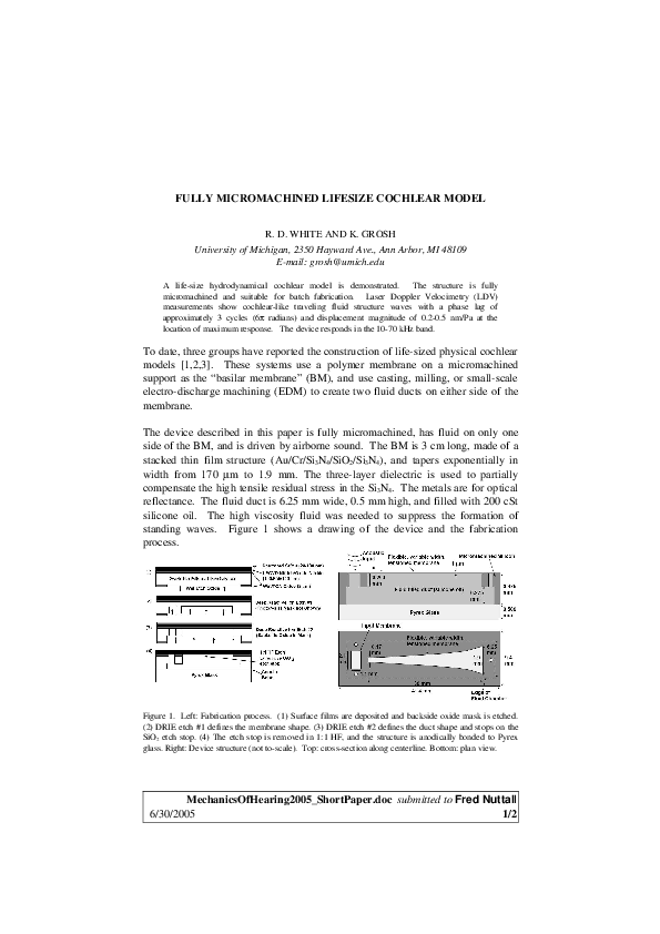 (PDF) Fully Micromachined Lifesize Cochlear Model