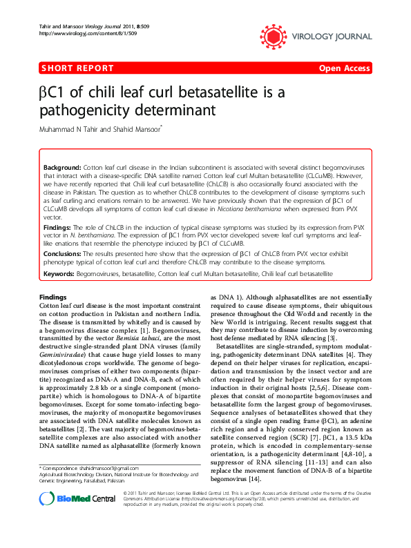 (PDF) βC1 of chili leaf curl betasatellite is a pathogenicity determinant
