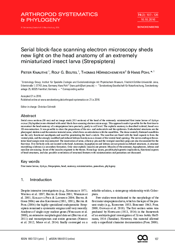 (PDF) Serial block-face scanning electron microscopy sheds new light on ...