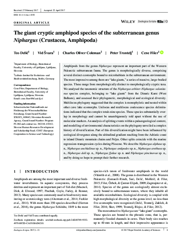 (PDF) The giant cryptic amphipod species of the subterranean genus ...